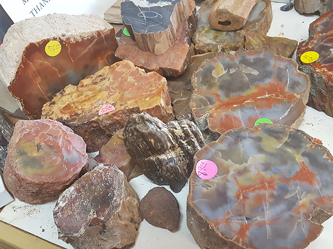 Polished to perfection, these stones display their inner beauty like geological supermodels strutting down Earth's runway.