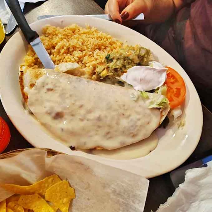 Quesadilla: Cheese stretches like a golden bridge between worlds, connecting crispy tortilla to a medley of fillings that dance on your palate.