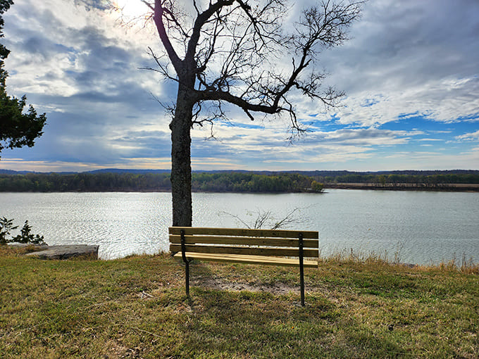 Sometimes the perfect spot is just a bench, a tree, and a river view that makes all your problems seem delightfully small.