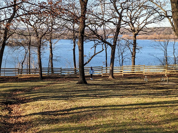 That golden hour glow hits different when you're standing among trees watching the river reflect the day's final light show.