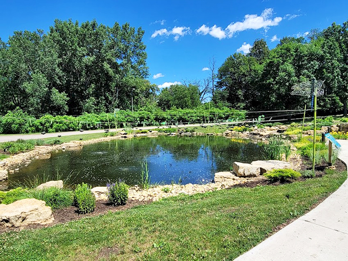 Lily pad luxury! This serene pond is nature's own infinity pool, complete with floating flowers and a chorus of croaking concierges.