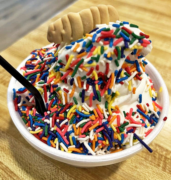 Rainbow sprinkles transform vanilla ice cream into a celebration &ndash; proof that sometimes happiness is just frozen cream covered in tiny candy confetti.