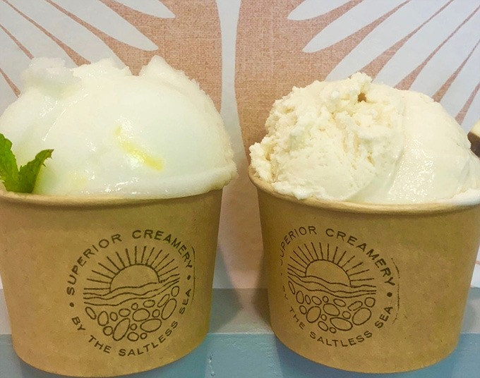 Two scoops of pure joy: lemon sorbet and vanilla proving that sometimes the classics really do know what they're doing.