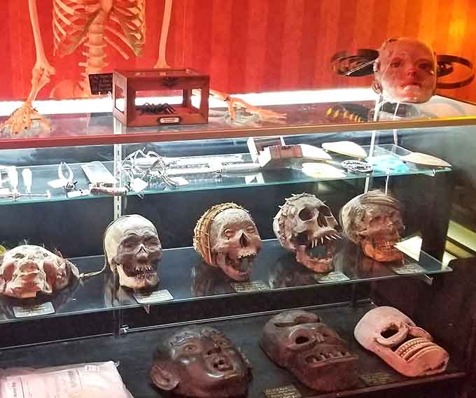 These grinning skulls have seen things that would make most people run screaming, but they're just smiling through it all.