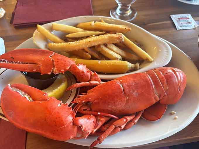Fresh Maine lobster with golden fries proves that sometimes the simplest preparations are the most spectacular.