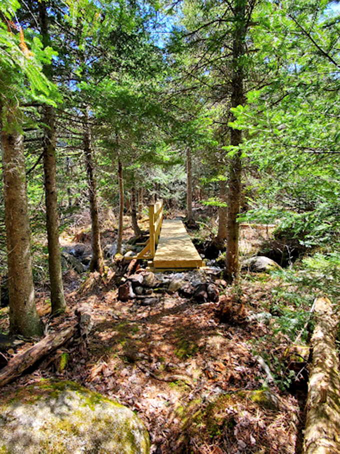 This wooden bridge through the forest feels like stepping into a storybook - minus the trolls underneath.