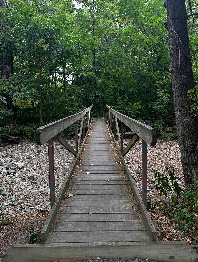 Not all who wander are lost, but this wooden bridge through dense forest certainly helps keep it that way.