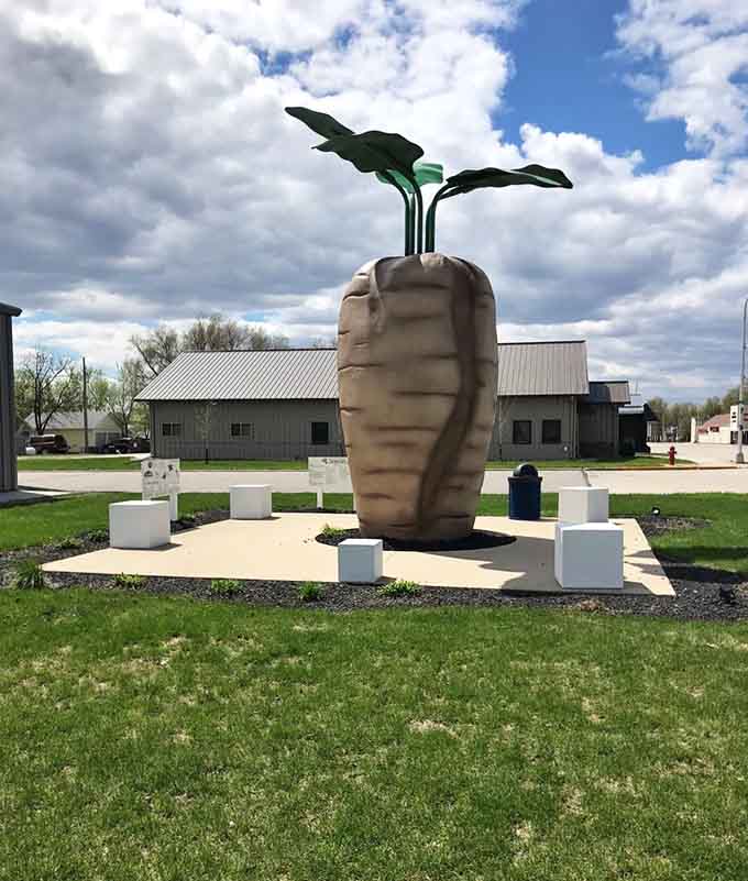 From every angle, this oversized root vegetable impresses with its attention to detail, from the textured surface to those perfectly sculpted leafy greens sprouting from the top.