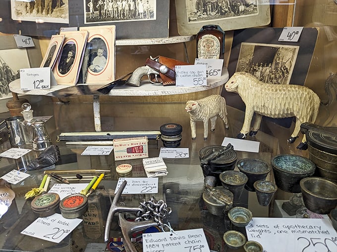 Glass display cases house smaller treasures from bygone eras, from apothecary weights to delicate figurines, each meticulously labeled.