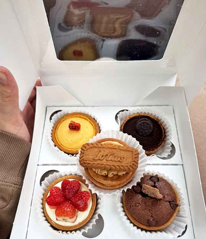 A box of joy containing assorted tart treasures &ndash; each one a different adventure waiting to happen in a neat, portable package.