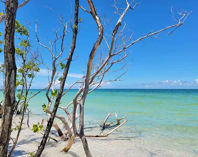 Water so clear you can practically see fish contemplating their life choices down there.