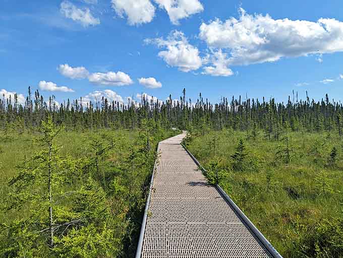 Golden grasses and evergreens create a color palette that would make any interior designer weep with envy.