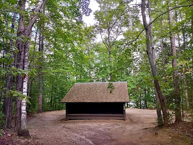 Rustic shelter meets woodland charm in these simple cabins &ndash; where solid walls and a real roof count as luxury after a day of Vermont adventuring.