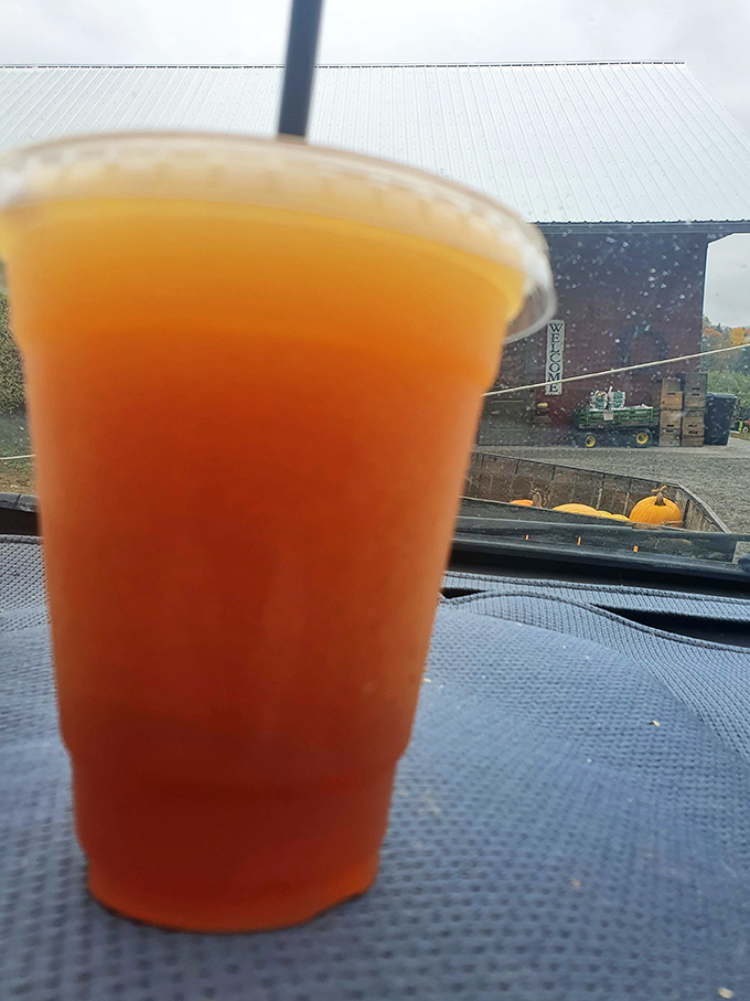 Amber nectar in a cup &ndash; this isn't just any cider slushie, it's autumn's essence captured in frozen form, ready to refresh and delight.