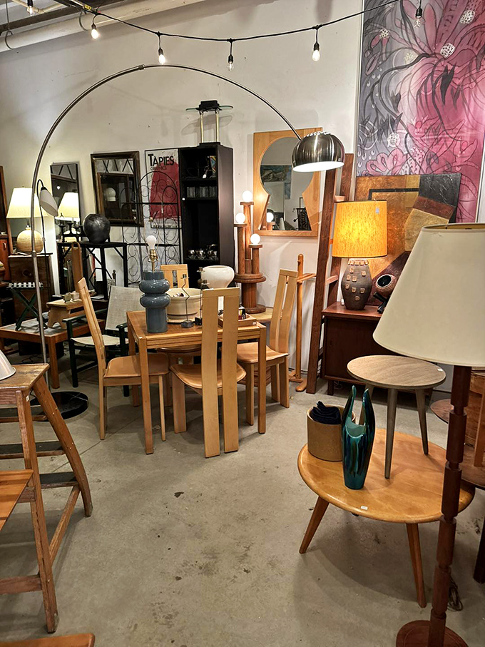 A treasure trove of vintage finds awaits, where each piece tells a story and every corner reveals another decade's design sensibilities.