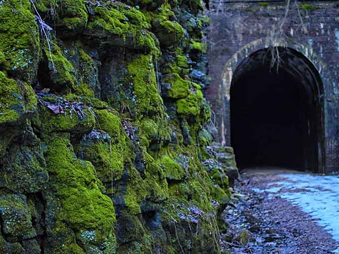 Hikers approach the massive sandstone overhang, dwarfed by nature's architecture that's been millions of years in the making.