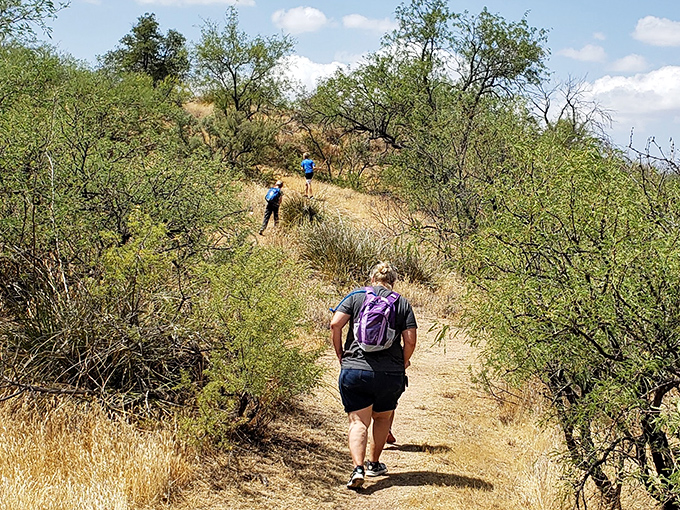 Hikers navigate the sun-dappled trail, each bend promising new vistas and the sweet possibility of wildlife encounters.