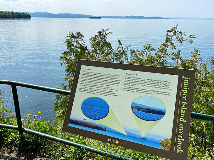 Educational signs offer glimpses into the park's rich ecosystem, turning a simple walk into a fascinating outdoor classroom.