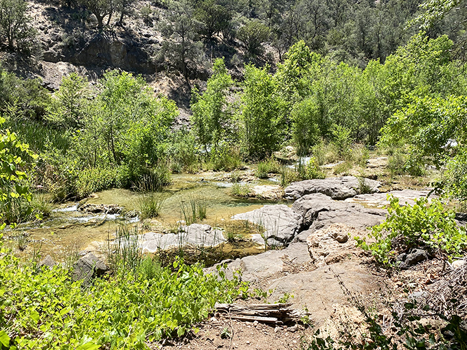 Mother Nature's landscaping: Small cascades form between pools, where water plants thrive in the mineral-rich environment.