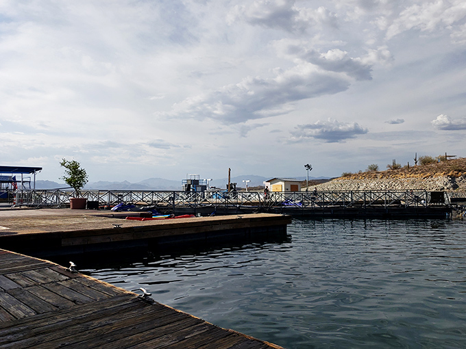 The marina's wooden boardwalk offers perfect viewing spots for those who prefer witnessing thrills to experiencing them firsthand.