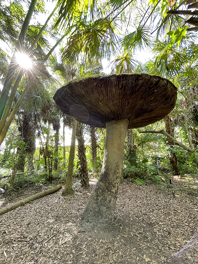 Alice in Wonderland would feel right at home beside this giant mushroom sculpture rising from the jungle floor.