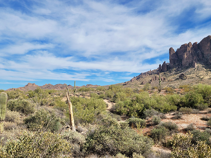 Desert flora creates a surprisingly lush tapestry against the rugged terrain, proving life thrives even in the most challenging environments.