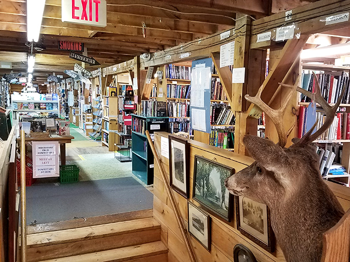 A mounted deer head watches over rows of books, as if keeping guard over the literary treasures that fill this former agricultural building.