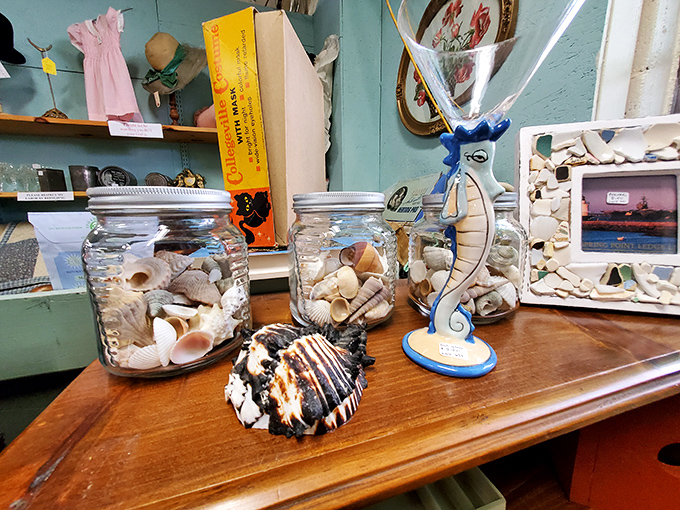 Tiny calcium miracles collected from Maine's shores rest in glass jars, bringing the whisper of ocean waves to inland homes.