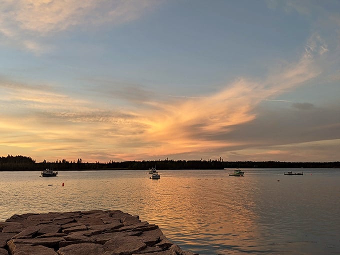 Golden hour magic transforms Roque Bluffs harbor into a painting, where bobbing boats await tomorrow's adventures on Maine's timeless waters.