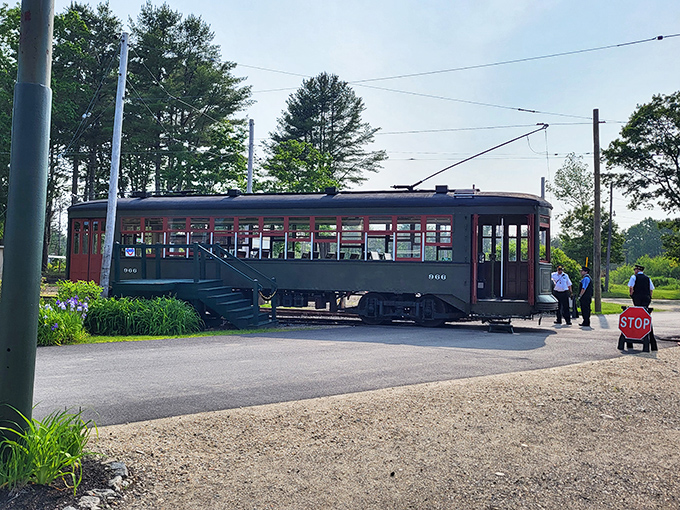 Step aboard a beautifully preserved trolley and experience the authentic wooden seats, brass fixtures, and period advertisements that defined commuter life decades ago.