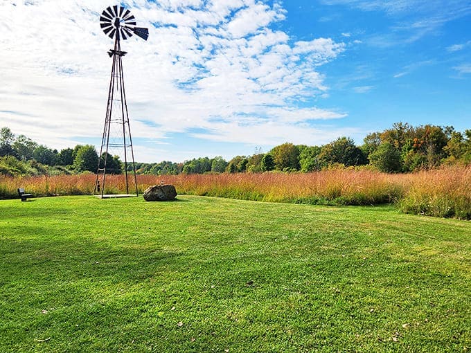 The classic windmill stands like a sentry over golden prairie grasses, a postcard from America's pastoral past.