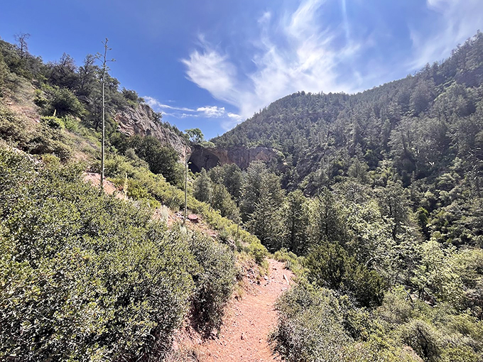 A winding path through nature's gallery: Pines pose on one side, rugged cliffs on the other. Bob Ross would be proud of this happy little trail.