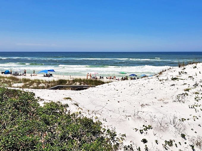 Sea oats dance in the Gulf breeze, their golden heads nodding as if approving your excellent choice in state parks.