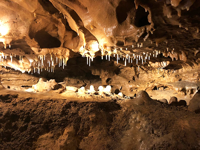 Nature's own Picasso! These bizarre rock formations look like they were sculpted by a surrealist artist with a geology degree.