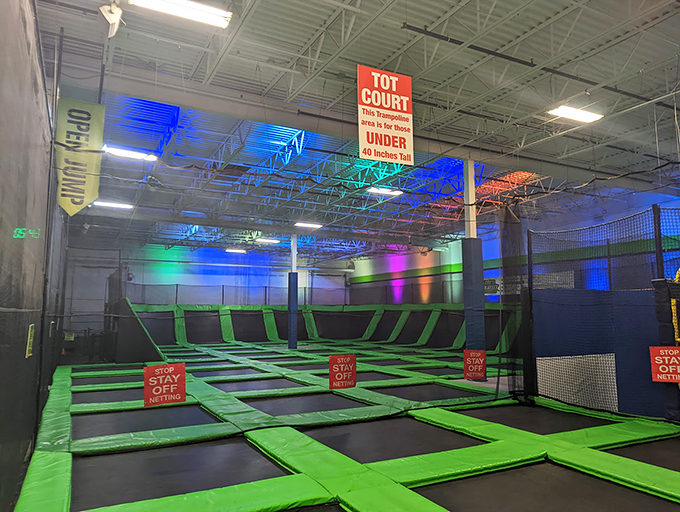 Bounce house on steroids! It's like walking on the moon, minus the spacesuit and plus a lot more giggling.