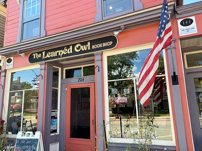 This charming pink house is bursting with books! It's like your eccentric aunt's library, but better. 