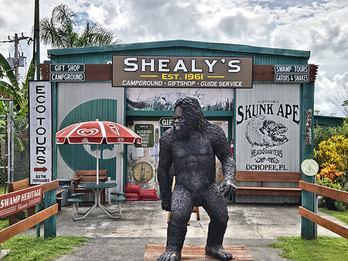 The Skunk Ape Research Headquarters welcomes cryptid hunters with a towering sasquatch statue guarding the entrance to this Everglades oddity.