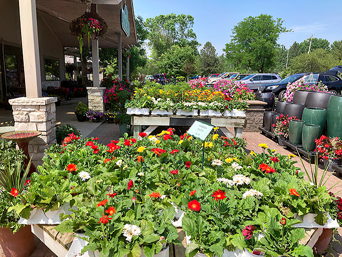 A floral feast for the eyes. Who needs a time machine when you can visit all seasons here?