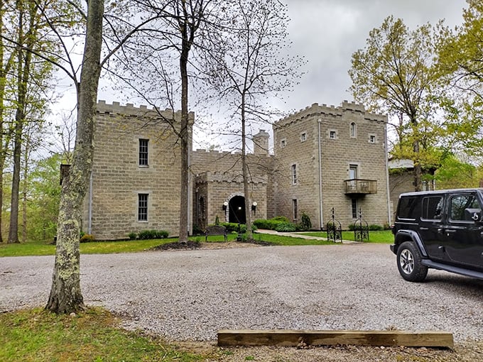 Who needs a time machine when you've got Ravenwood Castle? This quirky hotel in the Hocking Hills lets you live out your medieval fantasies, minus the plague and lack of indoor plumbing. It's like stepping into a storybook, but with Wi-Fi and comfy beds.