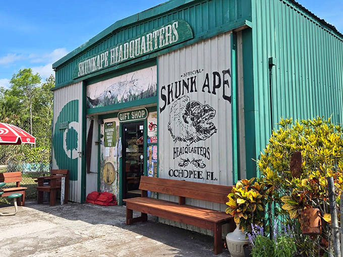 This unassuming building houses Florida's strangest research center, dedicated to tracking the elusive "Skunk Ape" &ndash; the Sunshine State's version of Bigfoot.