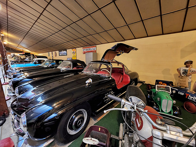 From Model Ts to muscle cars, this showcase is a symphony of engines and elegance. Each vehicle tells a story of American ingenuity.