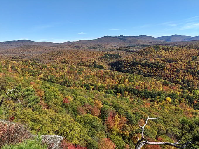 Autumn transforms Branbury's surroundings into a painter's palette of reds, oranges, and golds that would make Bob Ross weep with joy.