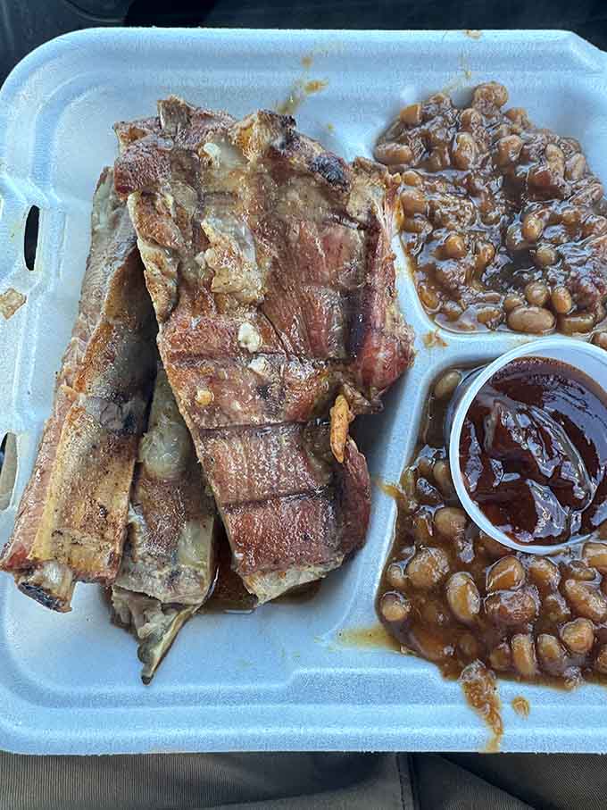 These ribs have that mahogany sheen that only comes from hours of patient smoking, falling off the bone like they've been waiting their whole lives for this moment.