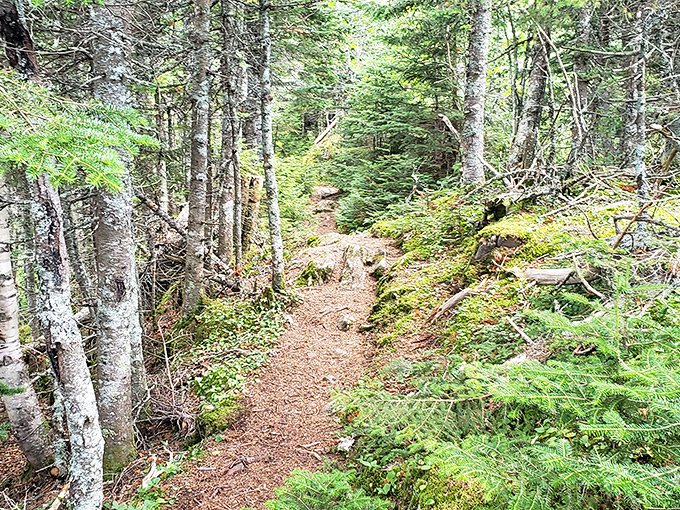 The beginning of an adventure that promises burning thighs and breathtaking vistas.