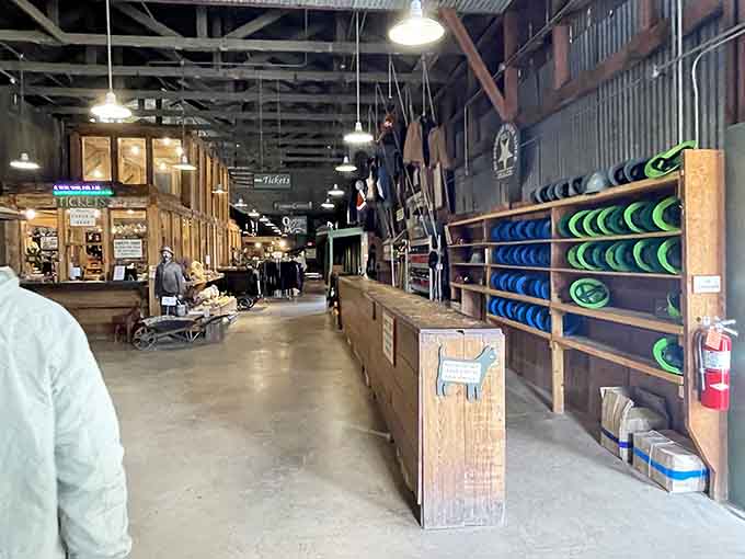 Inside the visitor center, displays of local treasures and mining history await, including the famous turquoise that made Bisbee the "Queen of the Copper Camps."