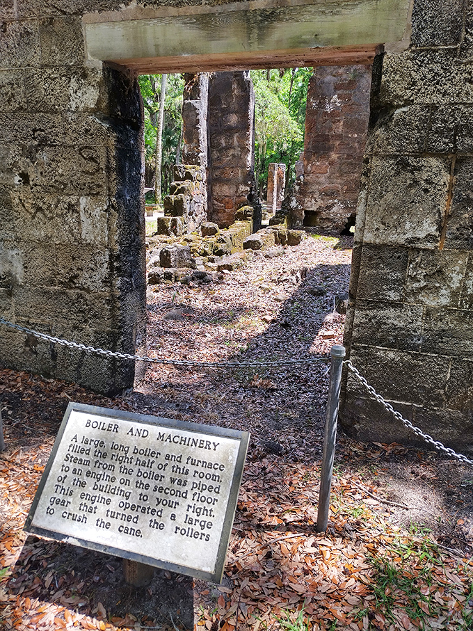 Industrial revolution, Florida style! These rusted remnants once powered a sugar empire, now standing as iron monuments to innovation.