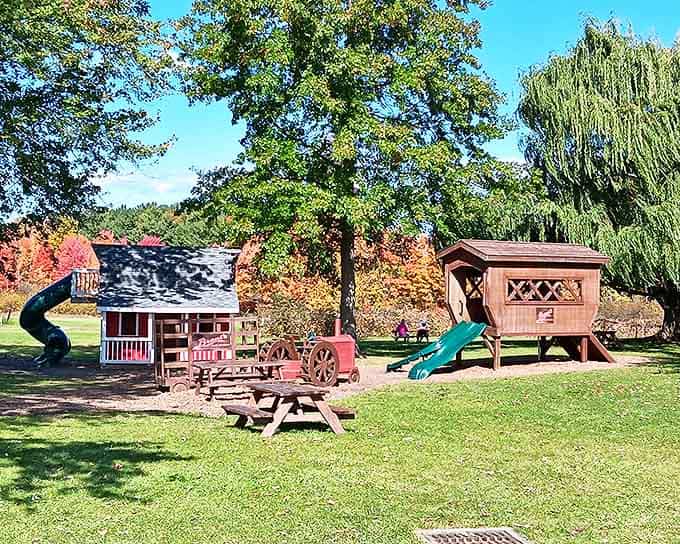 The playground area where kids burn off donut-fueled energy while parents secretly wish they could join in on the slides.