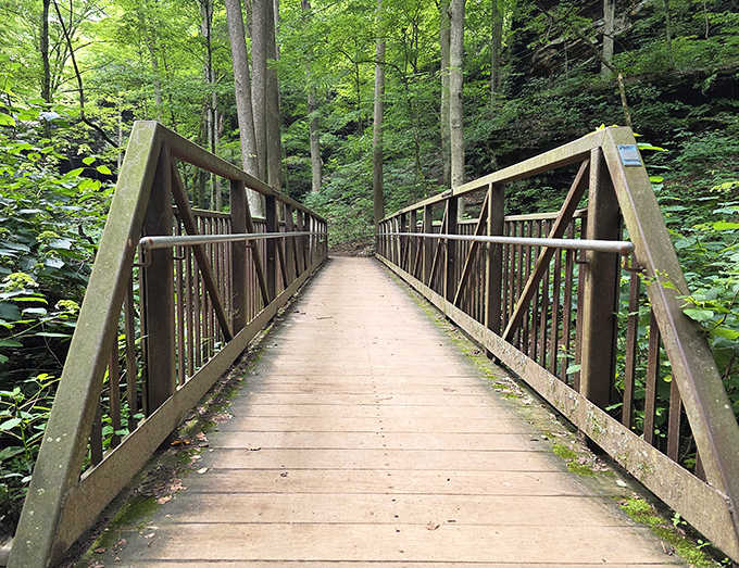 This wooden bridge doesn't just connect two points &ndash; it's an invitation to adventure, leading deeper into a forest straight from a storybook.