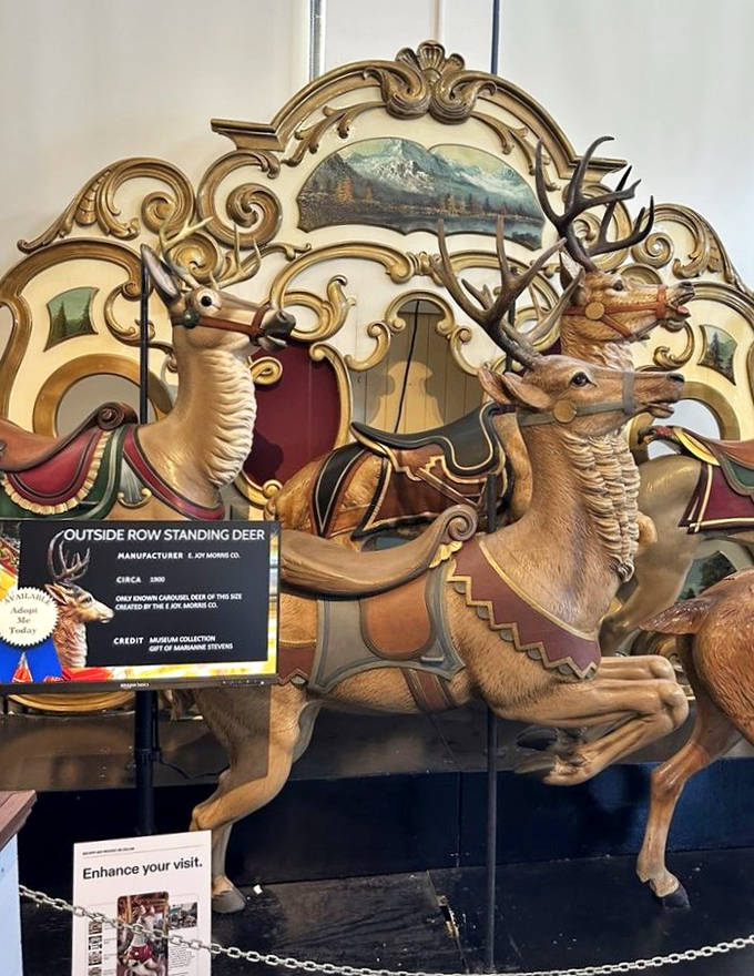 This majestic carved deer with real antlers is carousel royalty &ndash; one of the rarest creatures in the menagerie and definitely not designed for safety-conscious times.