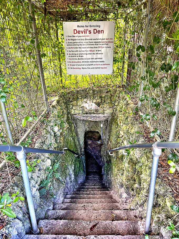 The descent into Devil's Den feels like entering another world &ndash; one where prehistoric Florida still exists.